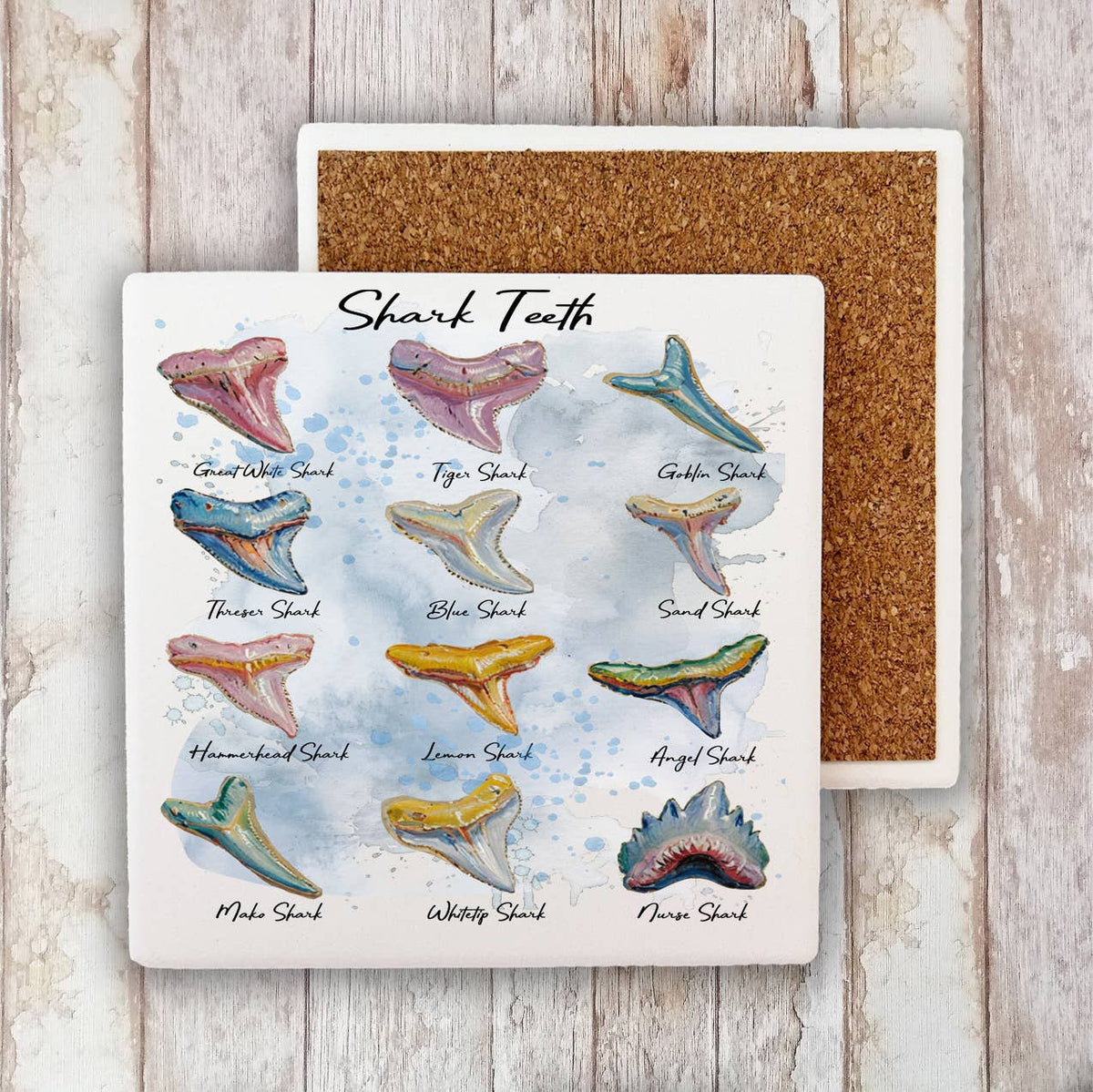 Shark Teeth Variety Coastal Beach Stone Coaster — Avery Lane Gifts